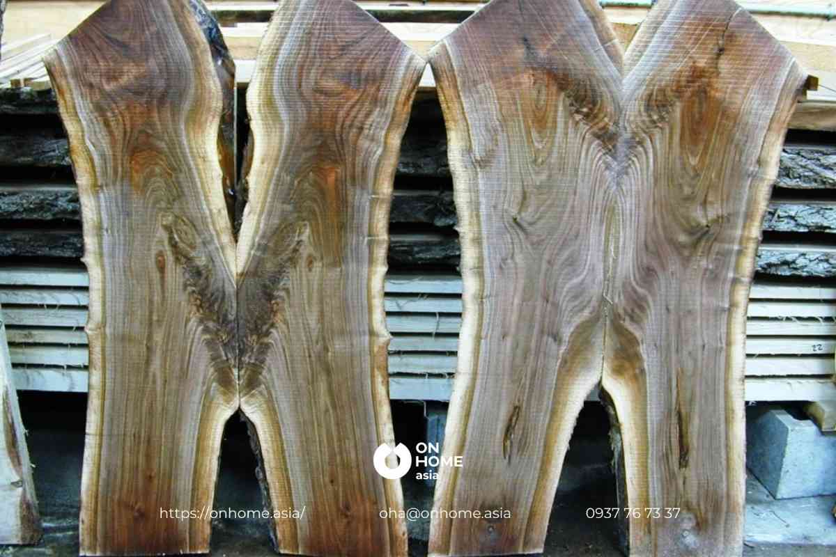 Gỗ Óc Chó: Tất Tần Tật Thông Tin [2024]