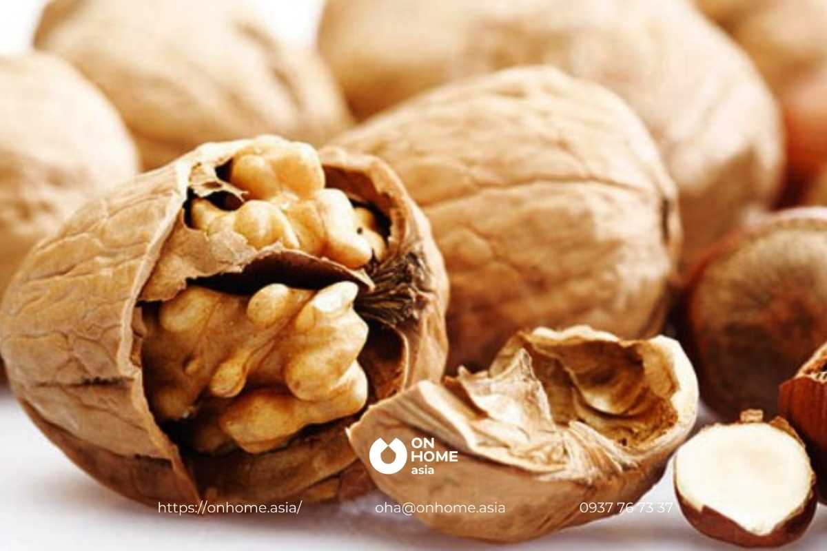 Gỗ Óc Chó: Tất Tần Tật Thông Tin [2024]