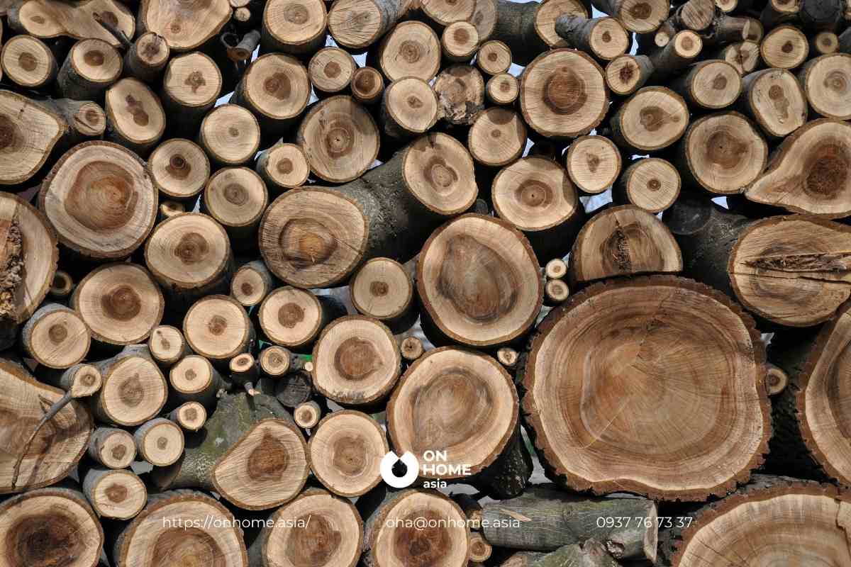 Gỗ Óc Chó: Tất Tần Tật Thông Tin [2024]